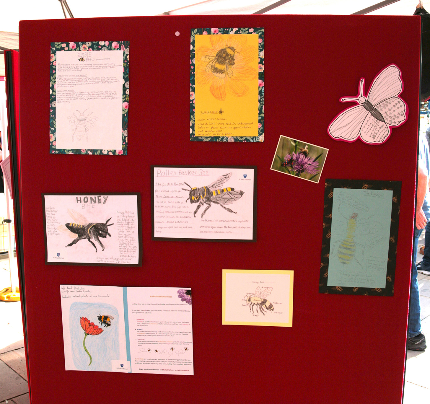 How are important are insects? – Greener Henley