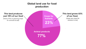 The Shift to Plant-based Eating: Land Use – Greener Henley